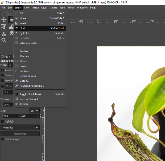How To Move Selection In GIMP Detailed Guide With Tips 