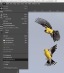 40+ GIMP Keyboard Shortcuts to Help You Edit Like a Pro