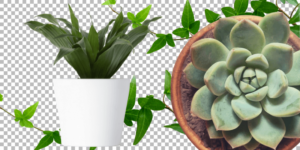 How to Fill an Area with Transparency in GIMP (3 Steps)