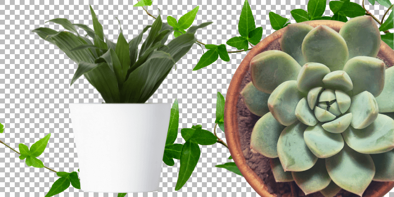 How to Fill an Area with Transparency in GIMP (3 Steps)