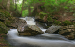 How to Blur Background in GIMP (Step-by-Step Guide)