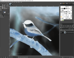 3 Ways to Invert Colors in GIMP (With Steps & Tips)