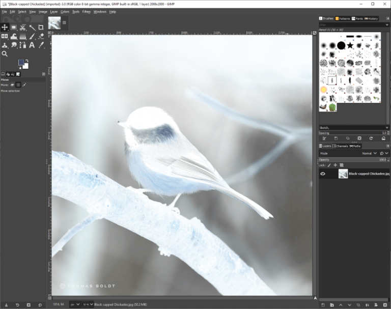 3 Ways to Invert Colors in GIMP (With Steps & Tips)