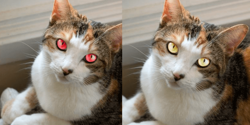 How to Make Glowing Eyes in GIMP (3 Steps + Example)