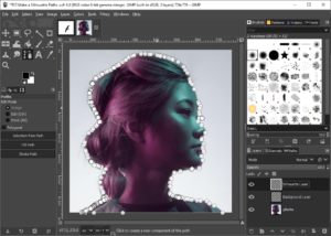 How to Make a Silhouette in GIMP (4 Easy Steps)
