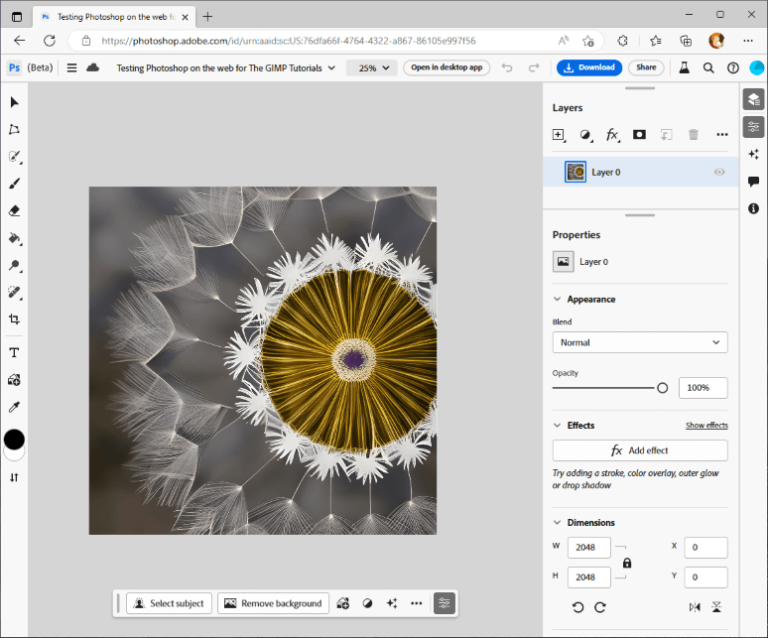 How to Open a PSD File in GIMP (Quick Guide & Tips)