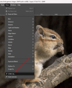 2 Easy Ways to Reduce Noise in GIMP (Step-by-Step)