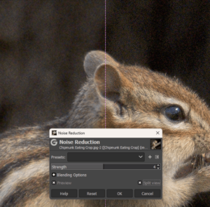 2 Easy Ways to Reduce Noise in GIMP (Step-by-Step)