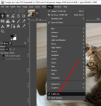2 Quick Ways to Turn a Photo into a Cartoon in GIMP
