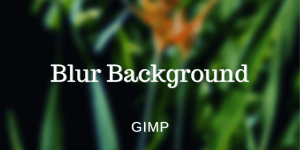 How to Blur Background in GIMP (Step-by-Step Guide)