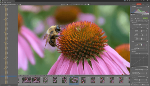 Detailed Review of GIMP: The Pros, Cons & Final Verdict (2023)