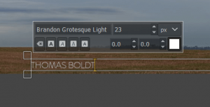 3 Quick Ways to Add Text in GIMP (Step-by-Step Guide)
