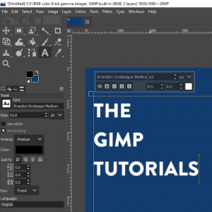 How to Center Text in GIMP (Quick Guide and Tips)