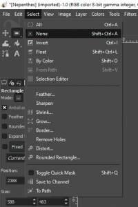 How to Deselect (Remove Selection) in GIMP: Quick Shortcuts