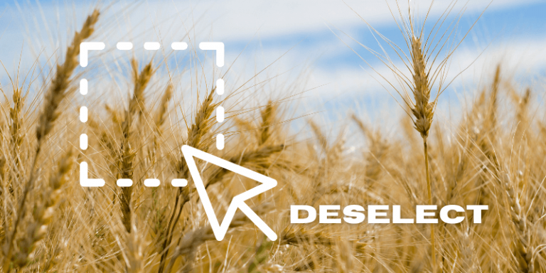 How to Deselect (Remove Selection) in GIMP: Quick Shortcuts