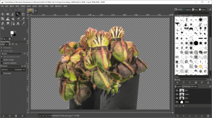 How to Erase to Transparency in GIMP (Different Methods)