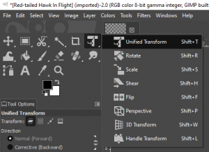 How to Free Transform in GIMP (Keyboard Shortcuts)
