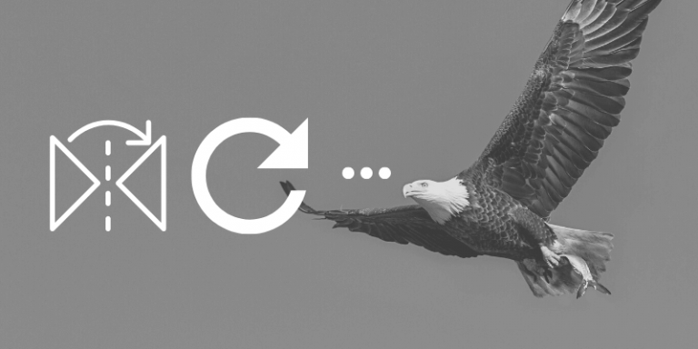 How To Free Transform In Gimp