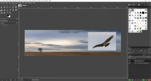 How to Insert an Image in GIMP (3 Quick Steps)