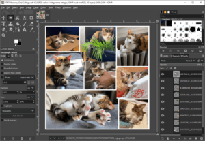 3 Ways to Make a Collage in GIMP (Step-by-Step)