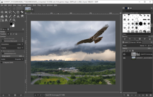3 Ways to Make a Collage in GIMP (Step-by-Step)