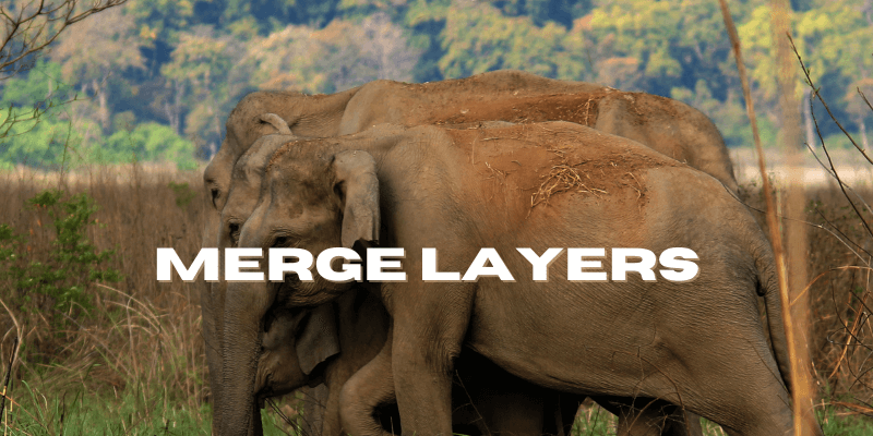3 Quick Ways To Merge Layers In GIMP Advanced Tips 