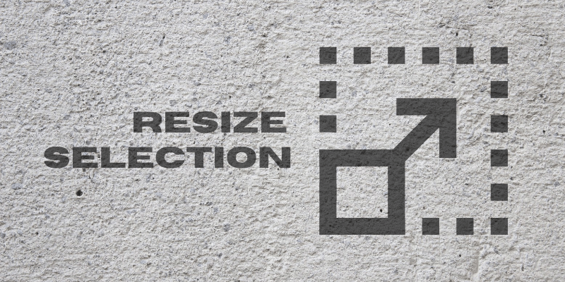 How To Resize A Selection In GIMP 4 Quick Steps 
