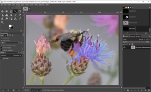 How to Select Color in GIMP (Quick Tips & Guides)