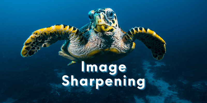 How To Sharpen An Image In GIMP 2 Quick Methods 