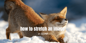 How to Stretch an Image in GIMP (Quick Tips & Guides)