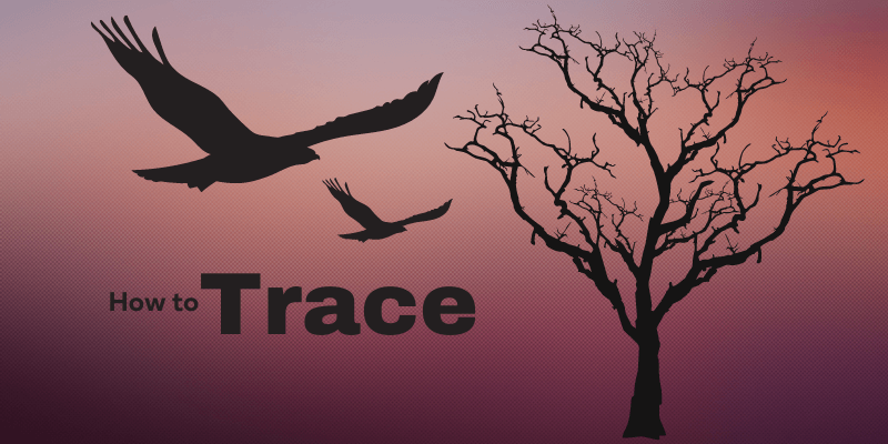 How to Trace an Image in GIMP (Quick Tips & Guides)