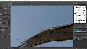 How to Use the Heal Tool in GIMP (Step-by-Step Guide)