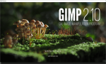 Is GIMP Safe? Quick Answer and Why (Security Tips)